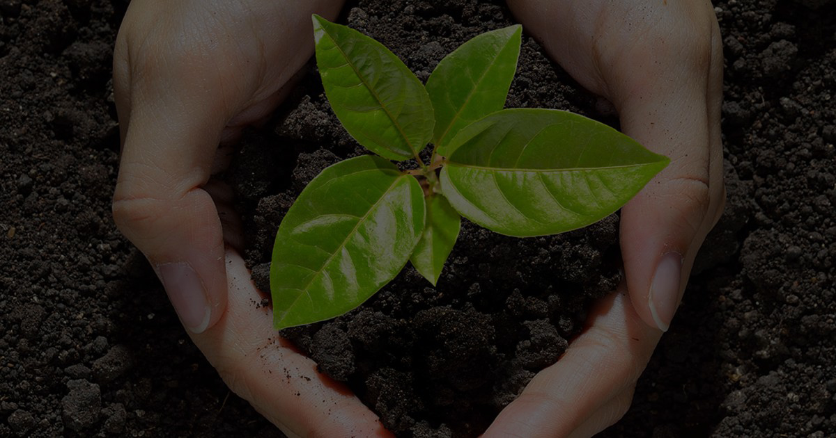 Contribution Statements – New Life Interfaith Ministries, Inc.